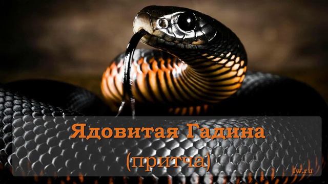 Ядовитая Гадина