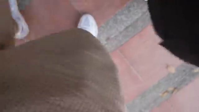 сумасшедший влог из Таиланда - TheBrianMaps