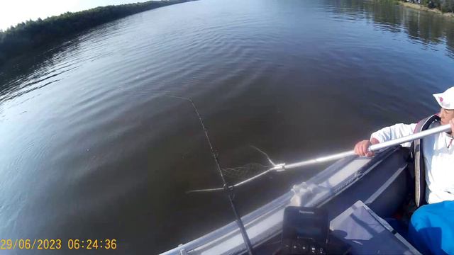 Лес и Рыба часть 2  2023г.