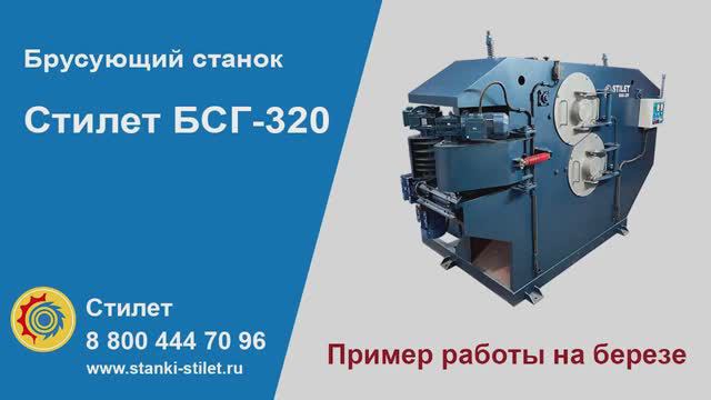 Стилет БСГ-320 пример пиления на березе