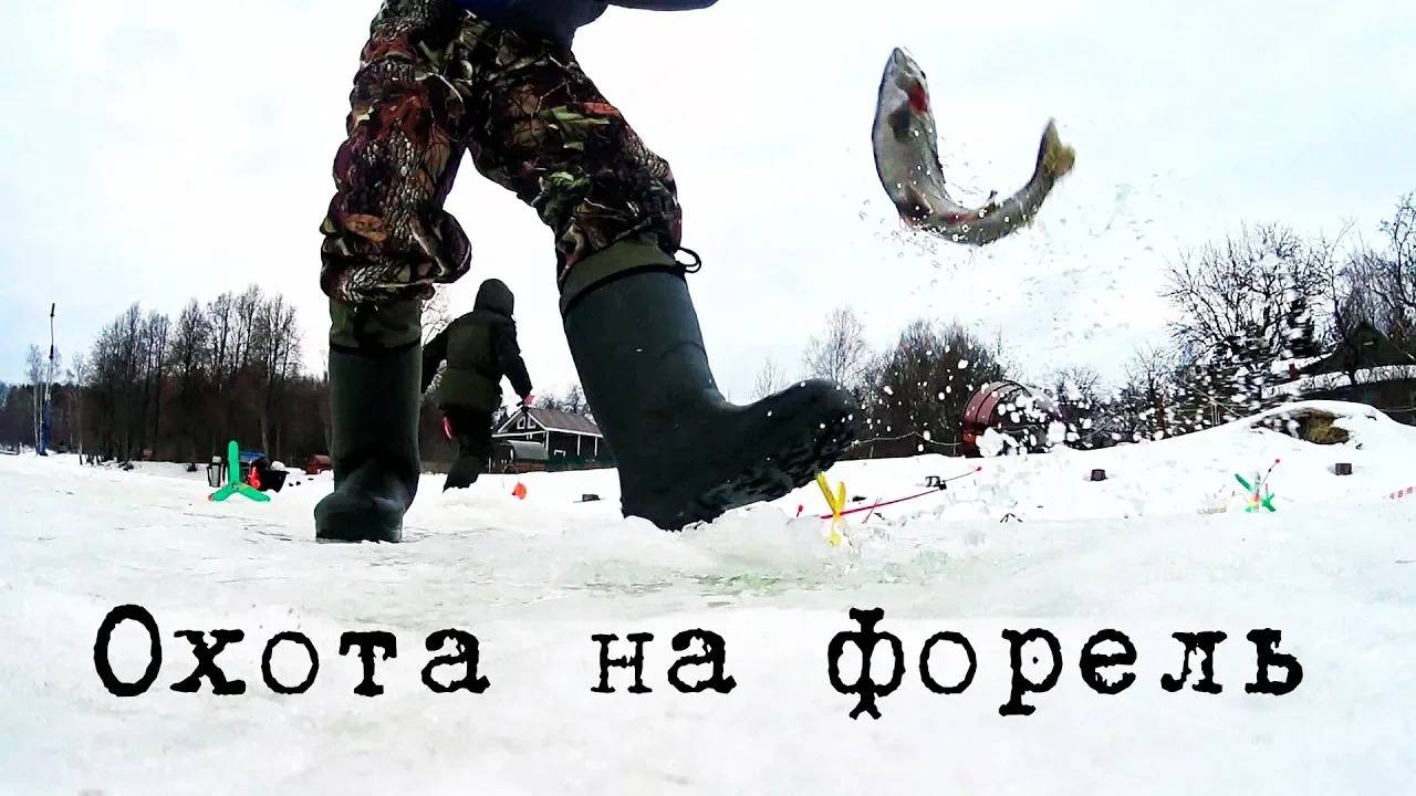 Зимняя ловля радужной форели на платном пруду. Платная рыбалка в Подмосковье.