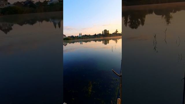 летний вайб    #рыбалка   #накрючке