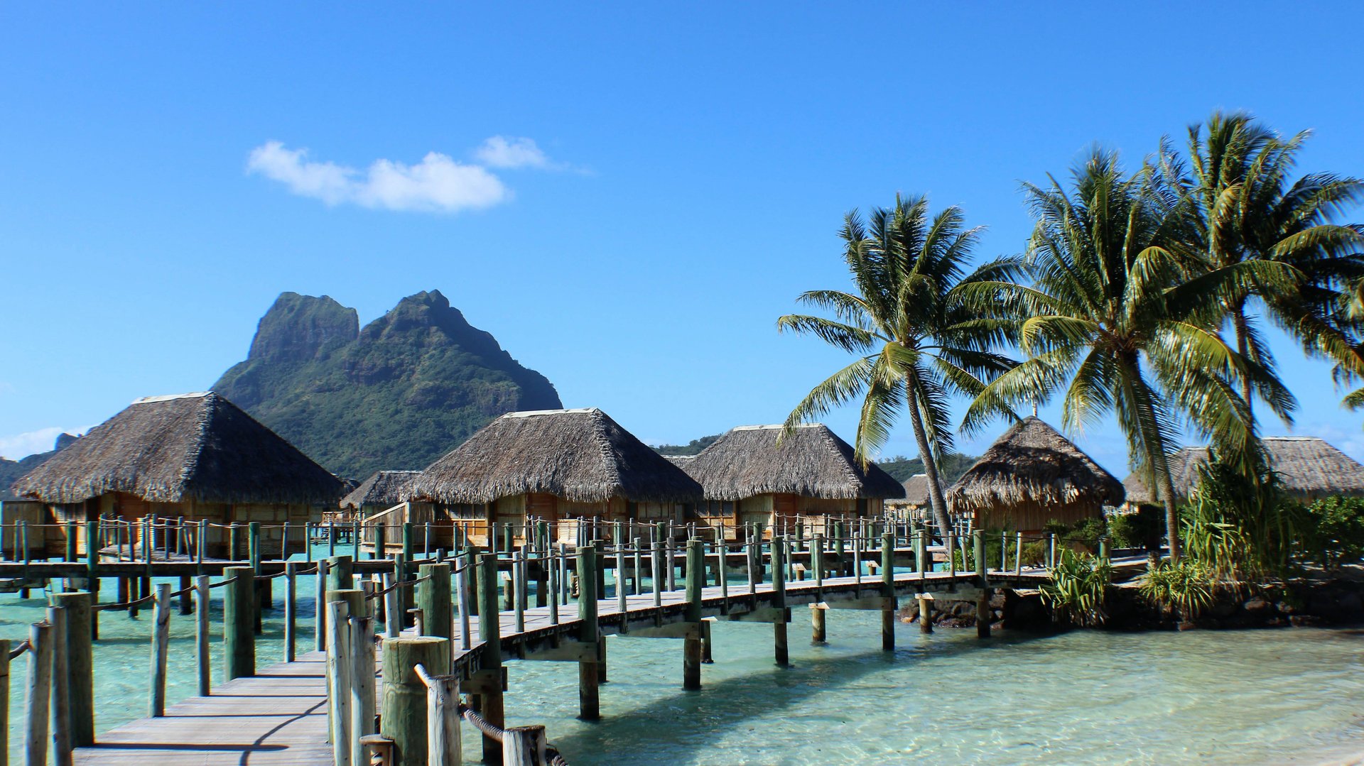 Дорога к раю