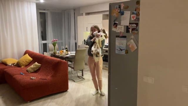 1 марта 2018 г. Ромашково