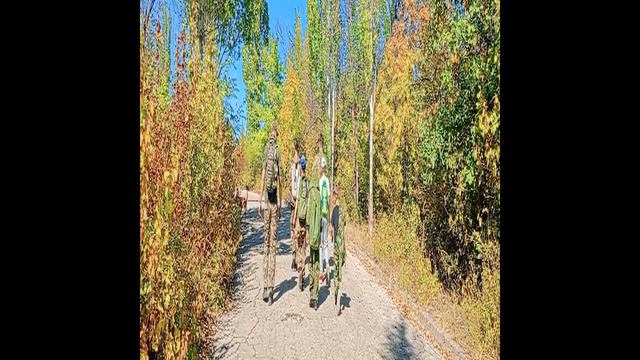 скауты поют