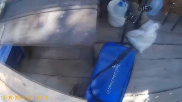 Лес и Рыба  2019-часть-3.