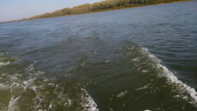 HONDA BF 2.3 и Бриг динго 265. на  р.Ока