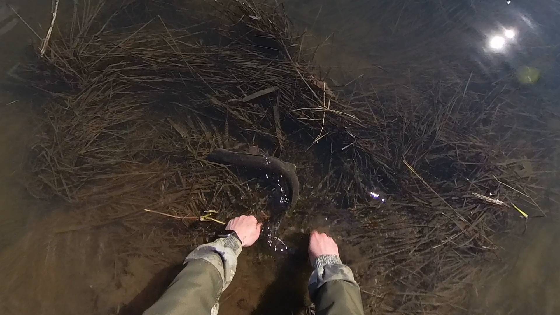 ОШАЛЕТЬ РЫБА ПЛАВАЕТ ПРЯМ У НОГ! НЕРЕСТ ЩУКИ! РЫБАЛКА НЕ ДАЛЕКО ОТ ГОРОДА! НАДОЕЛИ СЕТЮЩНИКИ!