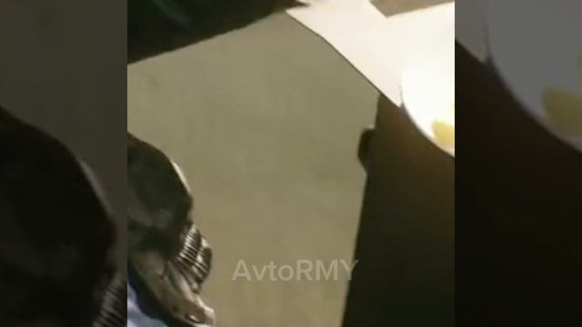 Фанфик "Под моей защитой"