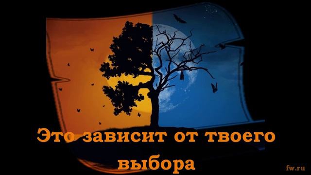 Это зависит от твоего выбора