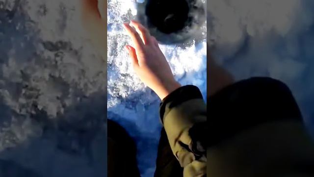 кто помнит этот трофей?  #рыбалка #накрючке #первыйлед