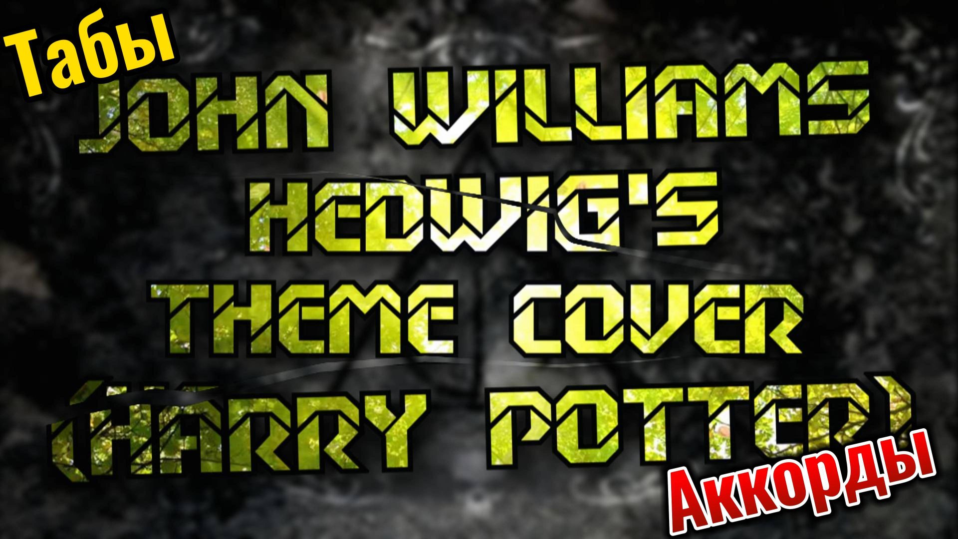John Williams - Hedwig's Theme (Harry Potter) 🦉Cover🎸 + Guitar Pro File
