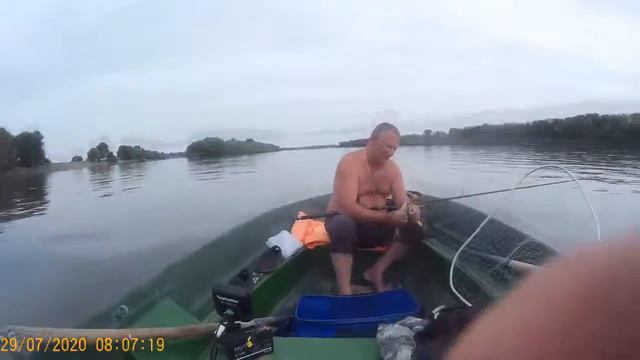 Лес и Рыба июль-2020-часть-2