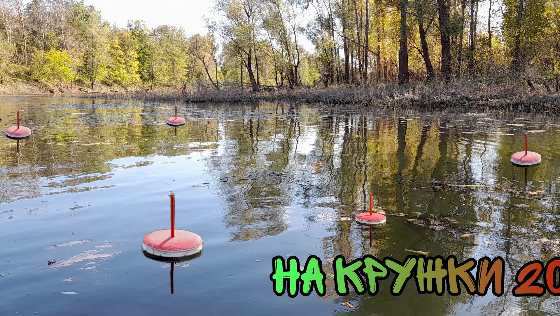 ЩУКА НА КРУЖКИ И НА СПИННИНГ ОСЕНЬЮ! КАК ПОЙМАТЬ ЩУКУ В ЗАРОСШИХ ВОДОЕМАХ! 24 ЧАСА ЗА ЩУКОЙ!