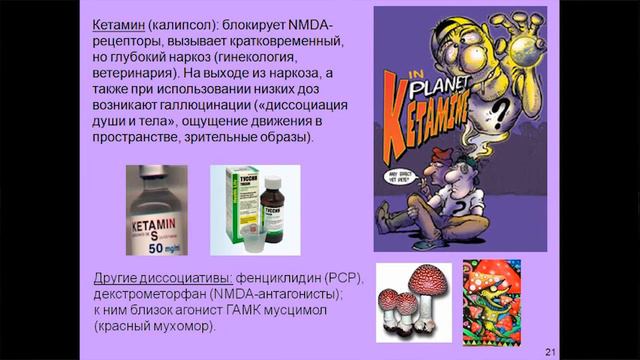 Лекция 9. Мозг_ другие медиаторы. Глицин, кофеин, каннабиноиды. Курс_ Химия мозга