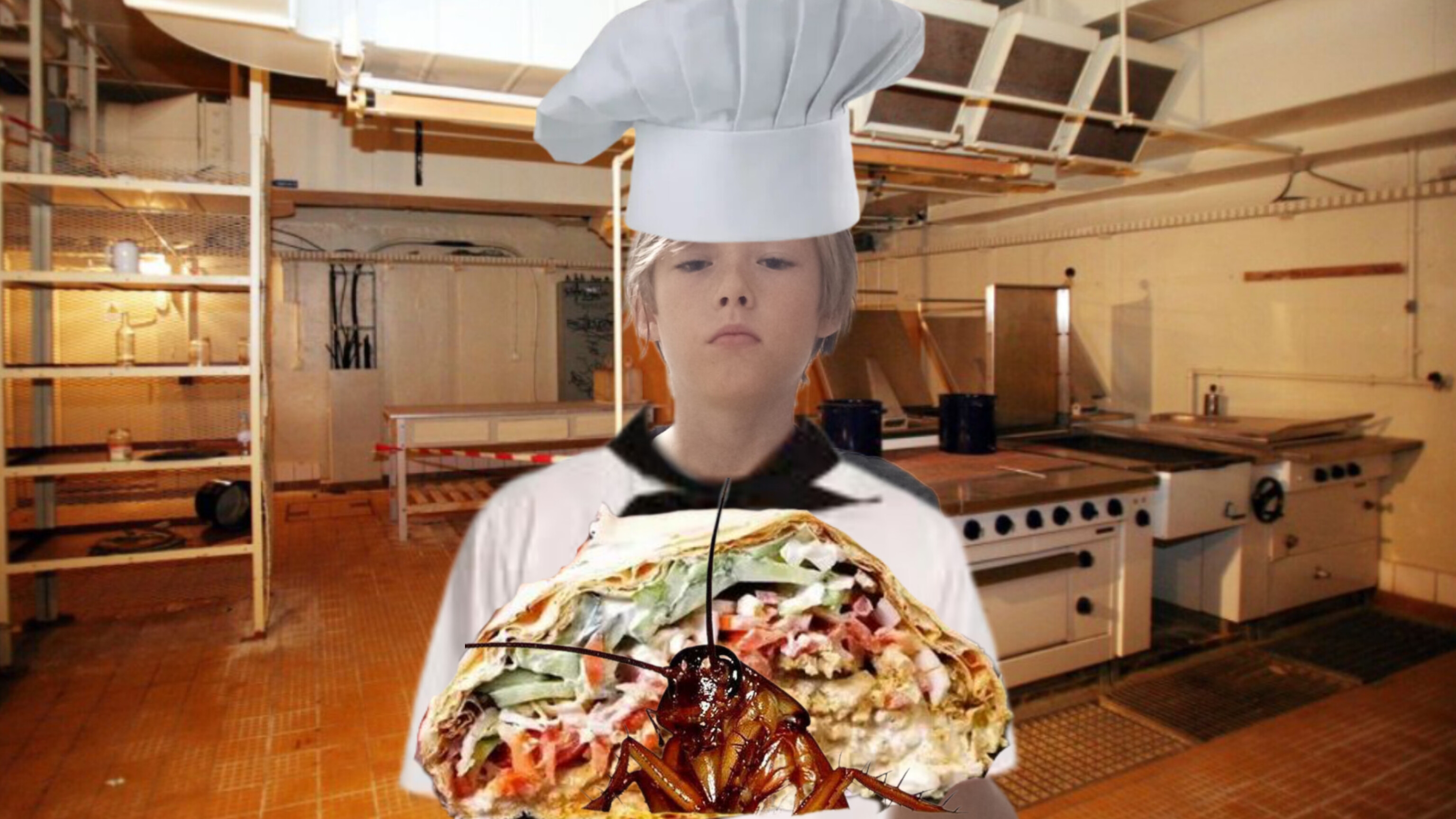 ПУСТИЛ ТАРАКАНОВ НА ШАВУХУ. -Клайлорен «история пустоши»