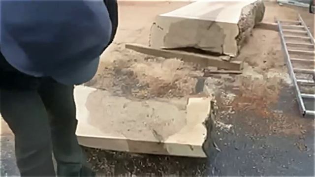 Неожиданный сюрприз в 100-летнем дереве