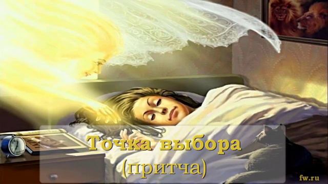 Точка выбора