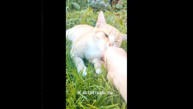 #жизнь #душевно #стихи