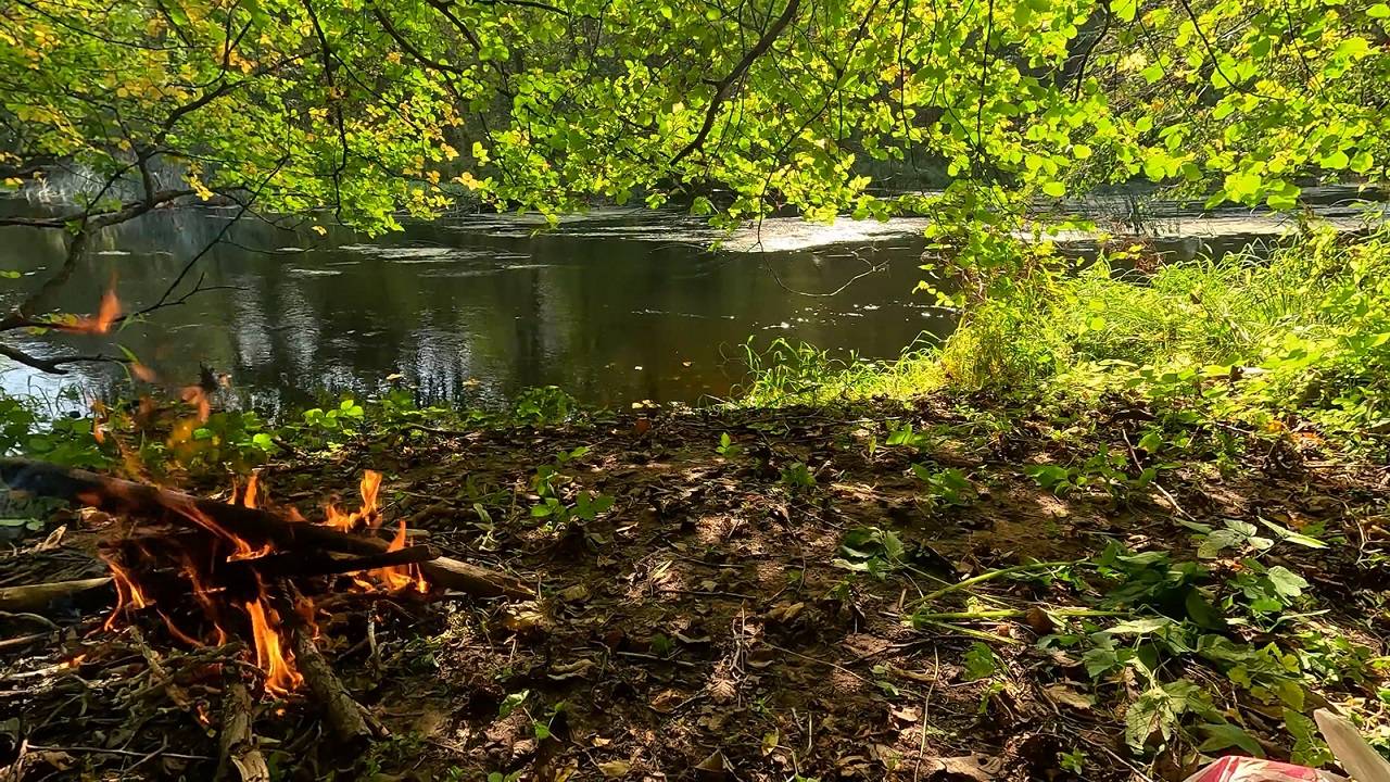 Сплав Полибино Купуй