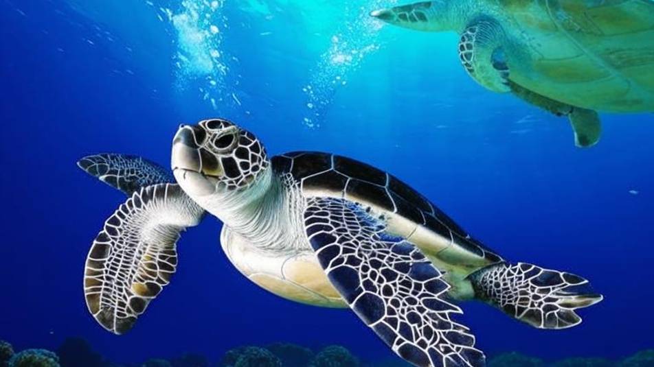 meditation music for stress relief.#sleep #nature #waterfall #music #relaxingmusic #beutifull