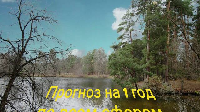 Персональный прогноз на 1 год от известного таролога Эльвиры.