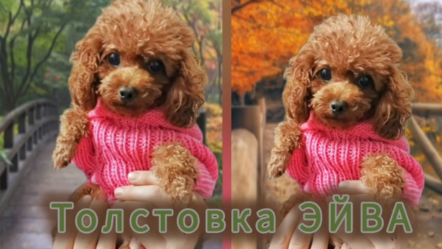 Толстовка для собак "ЭЙВА"