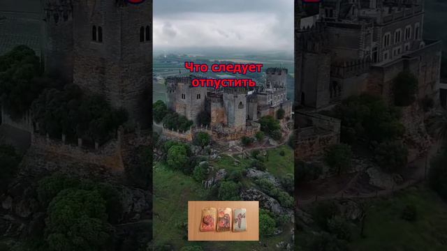 Что следует отпустить?🎈Чтобы жизнь наладилась🪴