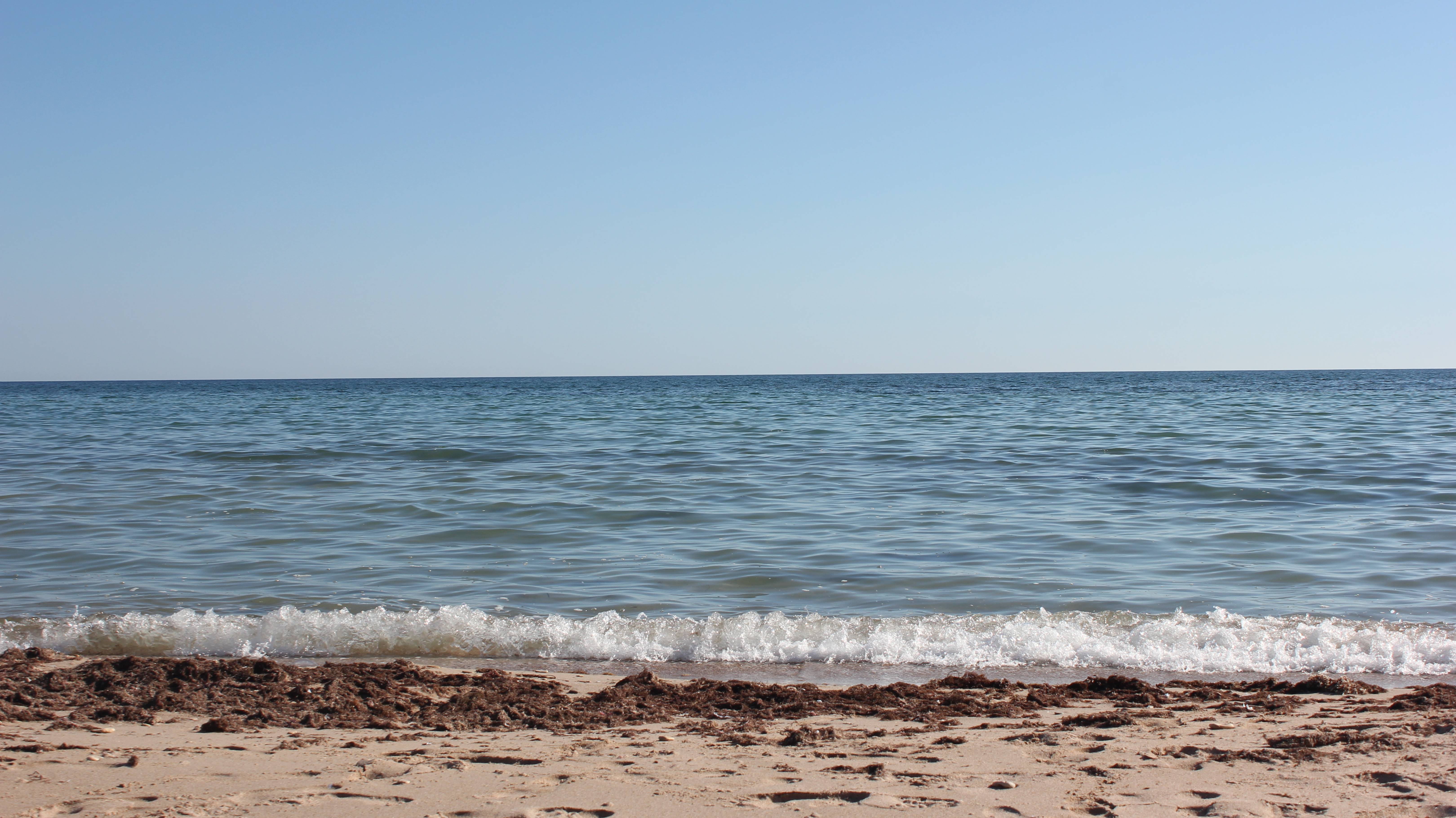 Невероятная находка на диком пляже Крыма! Громово 2022.