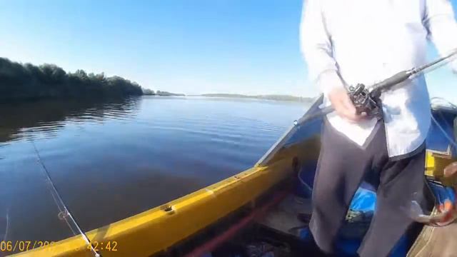 Лес и Рыба -2020-июль-часть-1.