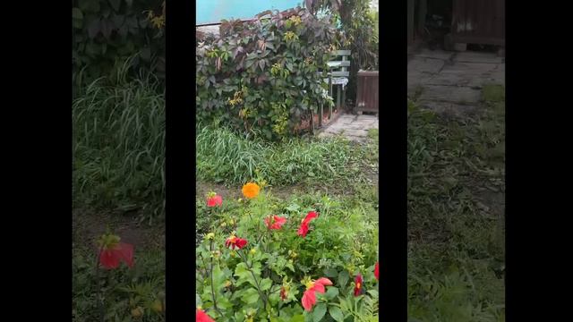 Стихи под музыку.