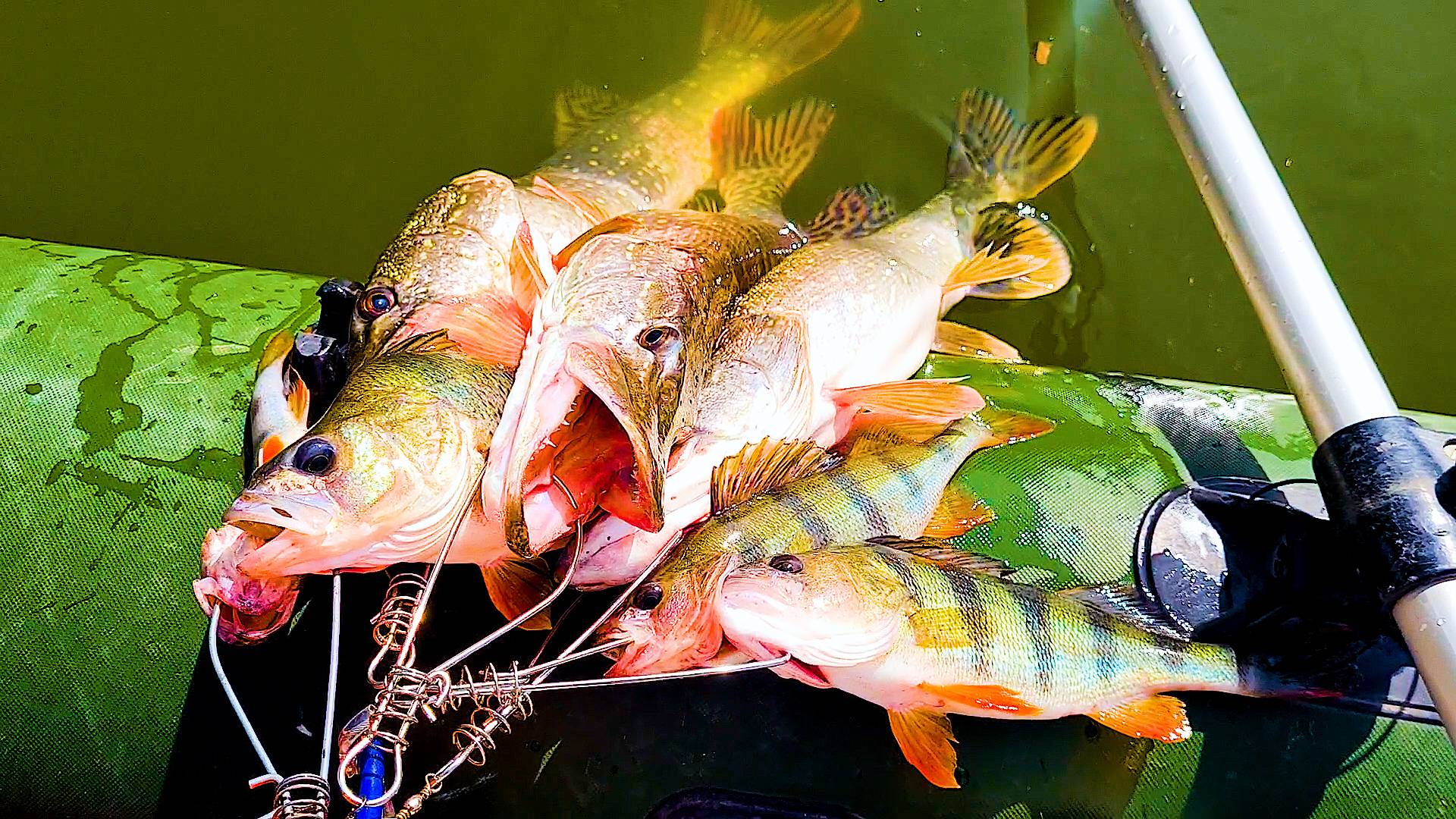 ЗАБИЛ КУКАН! ПОПАЛ НА УТРЕННИИЙ ЖОР! Рыбалка на спиннинг на реке!