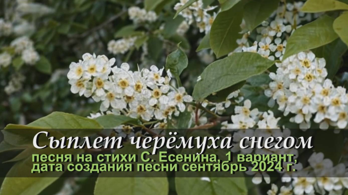 Сыплет черёмуха снегом, песня на стихи С. Есенина, 1 вариант песни и видео из клипа на 2 вариант