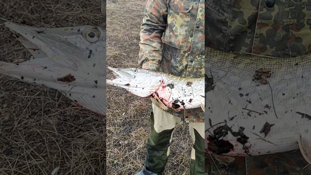 рыбалка в Крыму