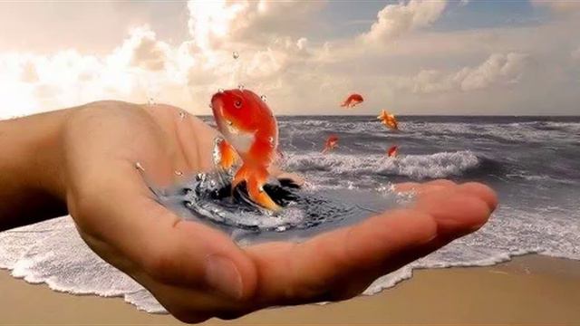 Начинаем менять реальность