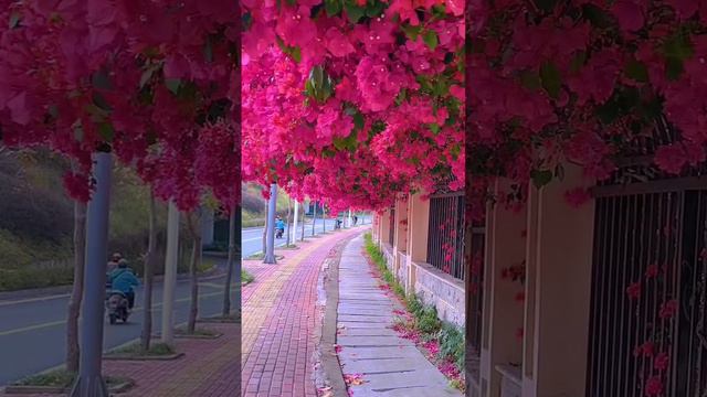 Китай,  город Наньнин