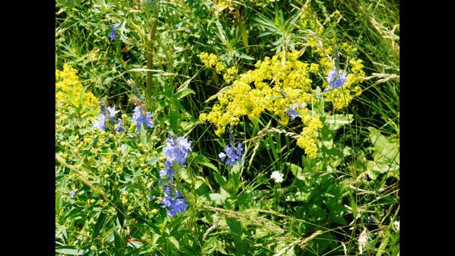 Башкортостан!Бесконечные  и удивительные просторы Башкортостана.Башкирский релакс.