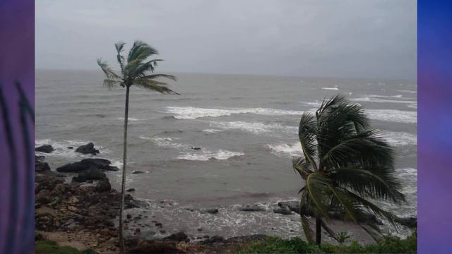 §48 Евразия: обзор материка"(2), География 7 класс, Полярная звезда