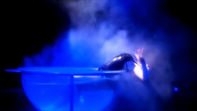 Девушка в аквариуме