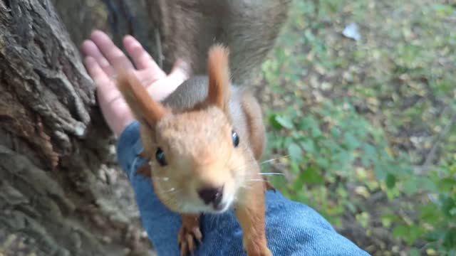 2024/09/21 Сквер Молодожёнов, г. Омск.