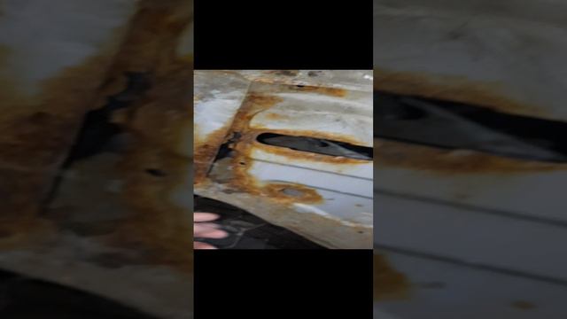 Заглянул под крылья Форда