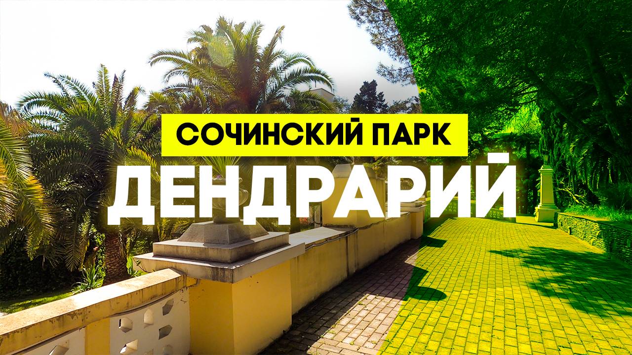 Парк Дендрарий в Сочи. Большая прогулка
