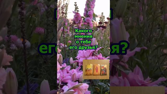 Какого мнения о тебе его друзья🕺Для тебя это важно? 🤝