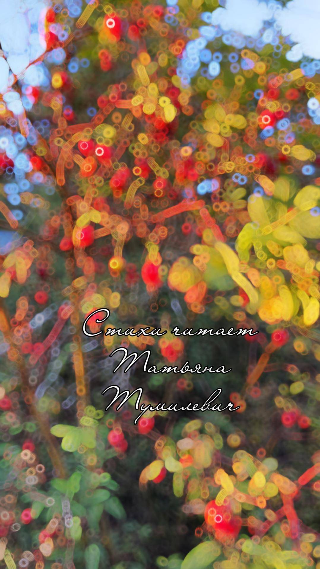 Аудио. Татьяна Федорова "Небывалая осень..." Стихи читает Татьяна Тумилевич.