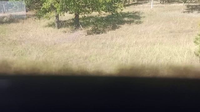 Мы едем От Ж/Д вокзала до Волжской Жемчужины