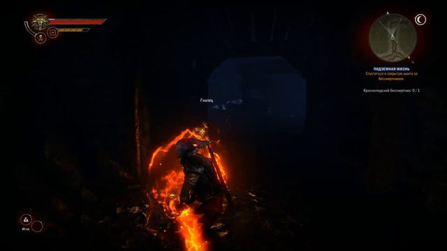 Ведьмак 2. Серия № 8. Шахты. Ищем бессмертник!