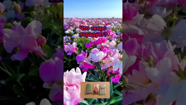 Что порадует в ближайшее время? 😻 Что произойдёт 🚨