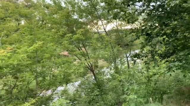 Башкортостан.Кадыргулово.Таинственный лес и природа.