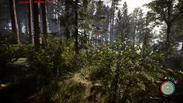 Sons Of The Forest. РЕЛИЗ (1.0) Стрим № 5.