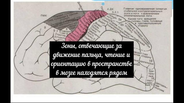 чтение с помощью указательного пальца